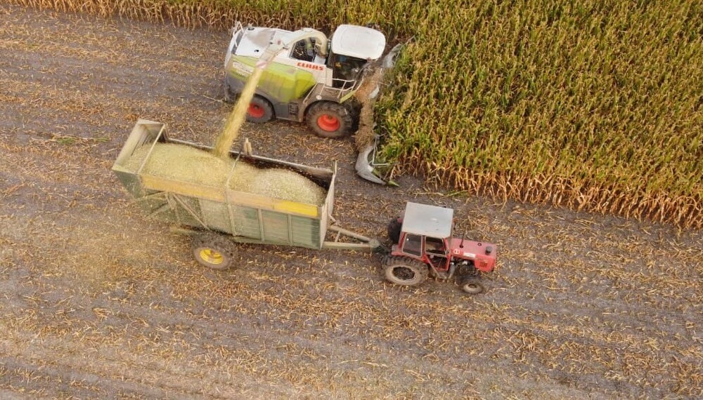 Reservas forrajeras: una herramienta para potenciar la ganadería.